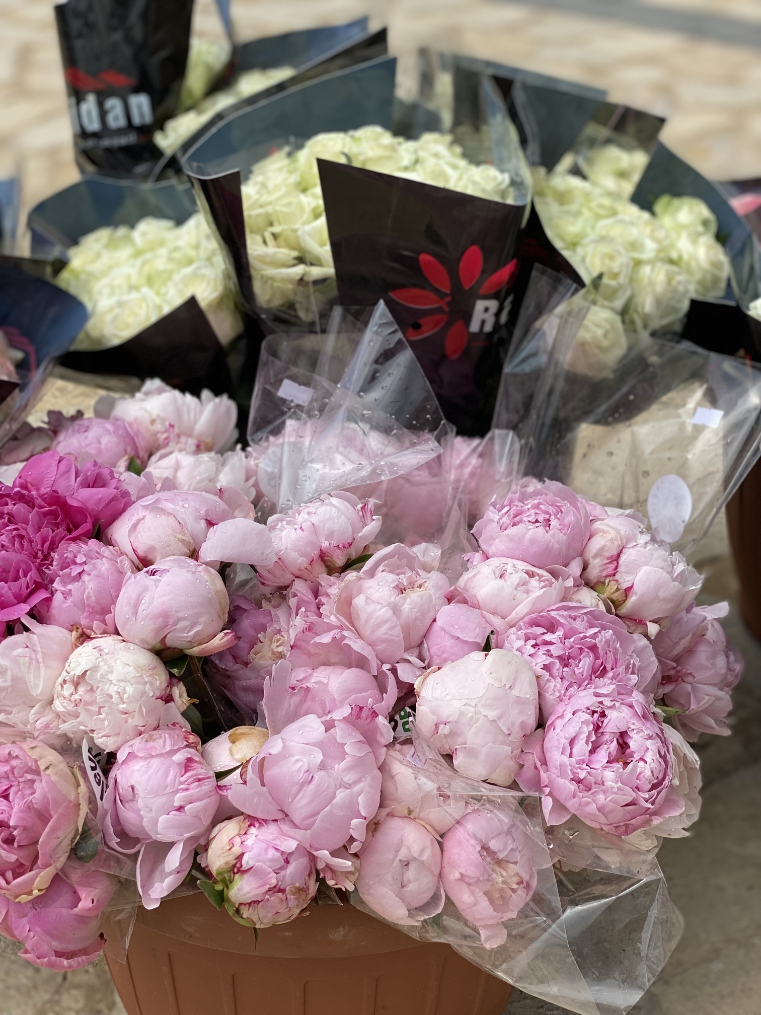 A Rose Ombre Wedding| Arabia Weddings